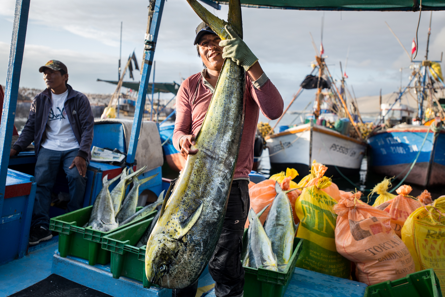 Peru Mahi Alliance Logra Importante Avance En La Sostenibilidad De La